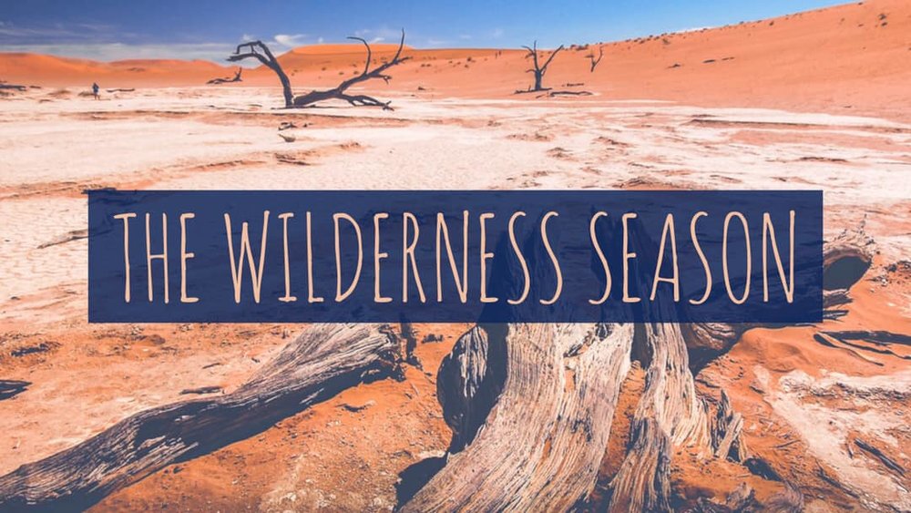 The Wilderness – Four Things I Have Learned During My Season of ...